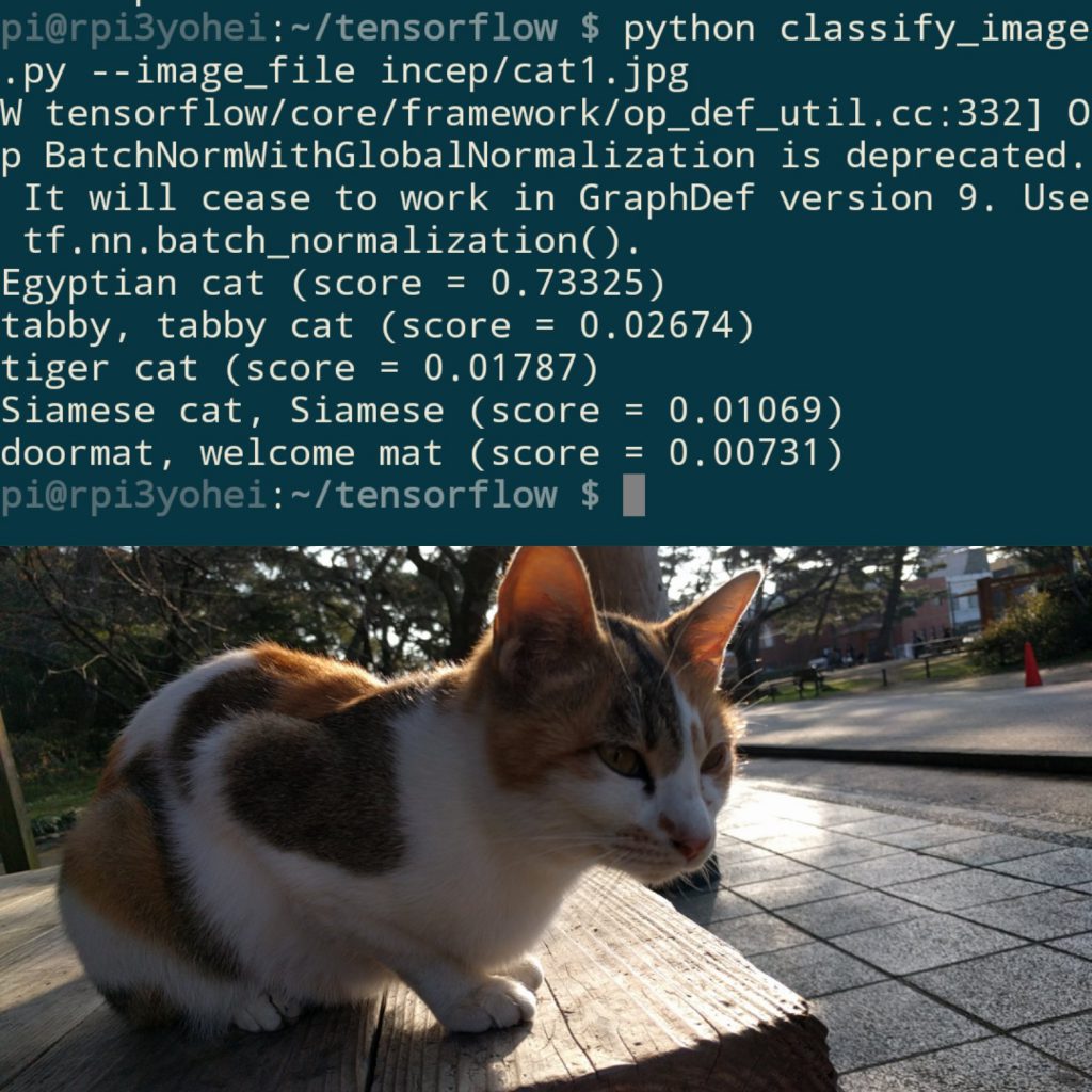 RaspberryPi（Raspbian OS）にTensorflowをインストール – ZAMUU: :BLOG